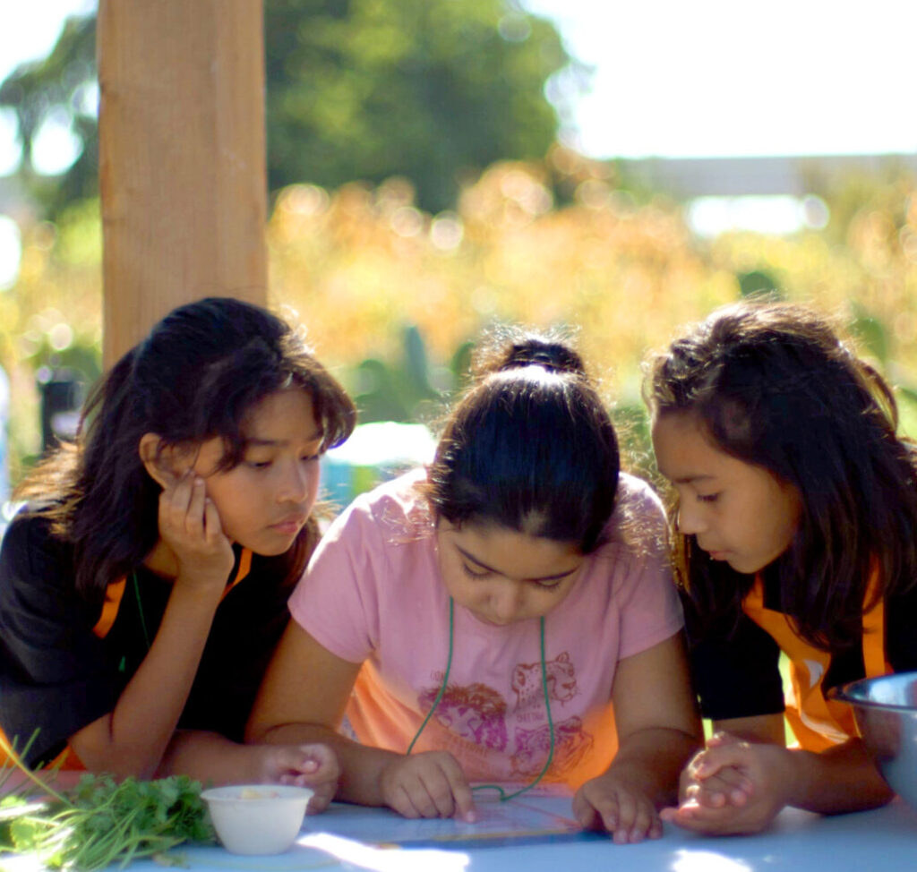 Our Impact - Charlie Cart