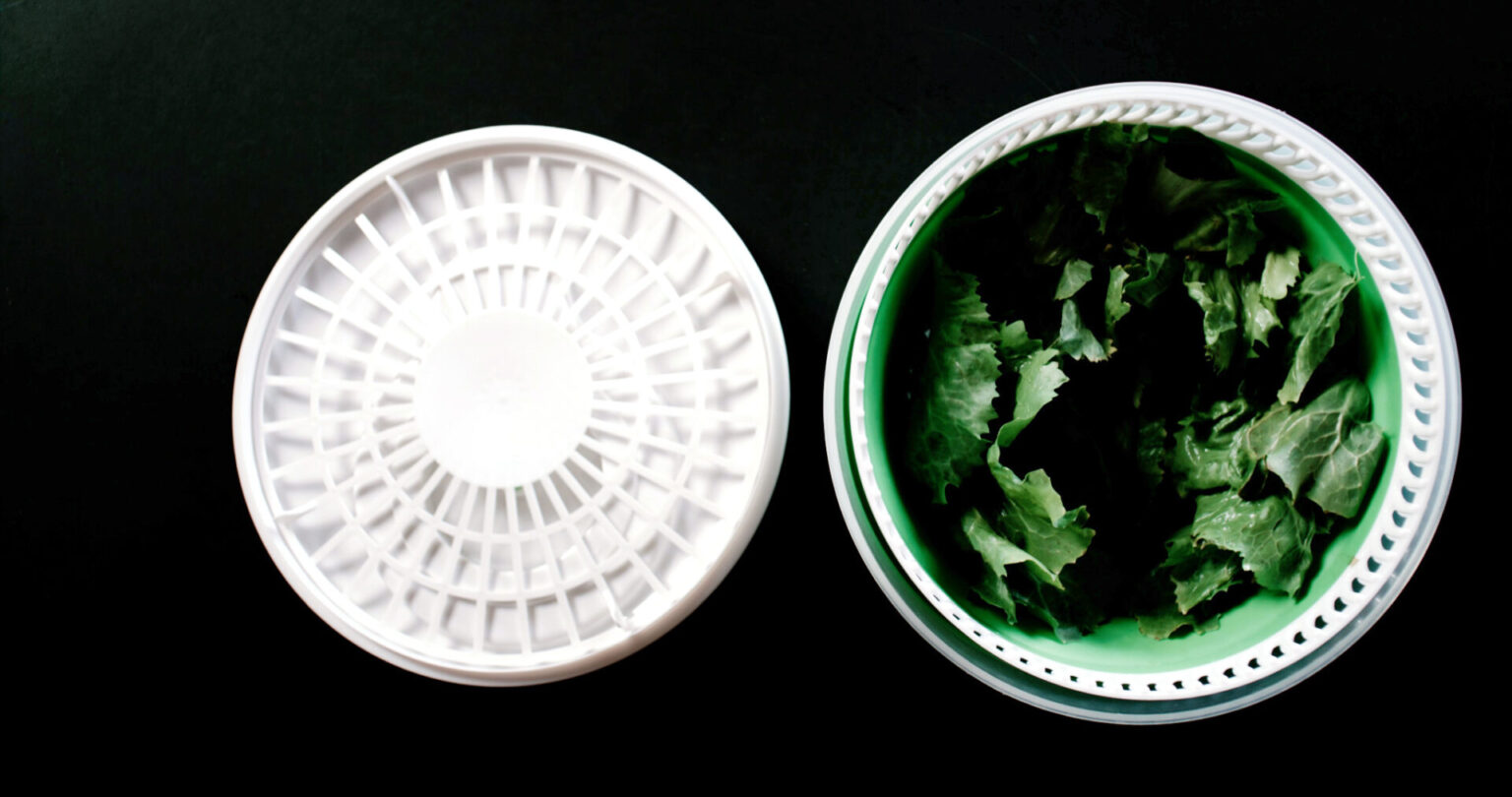 Best Organizations Supporting Food Education Initiatives