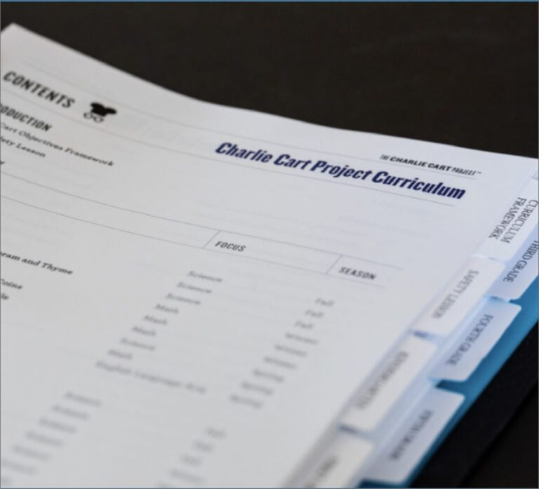 Teaching Kids to Cook: Irresistible Skills for Empowerment