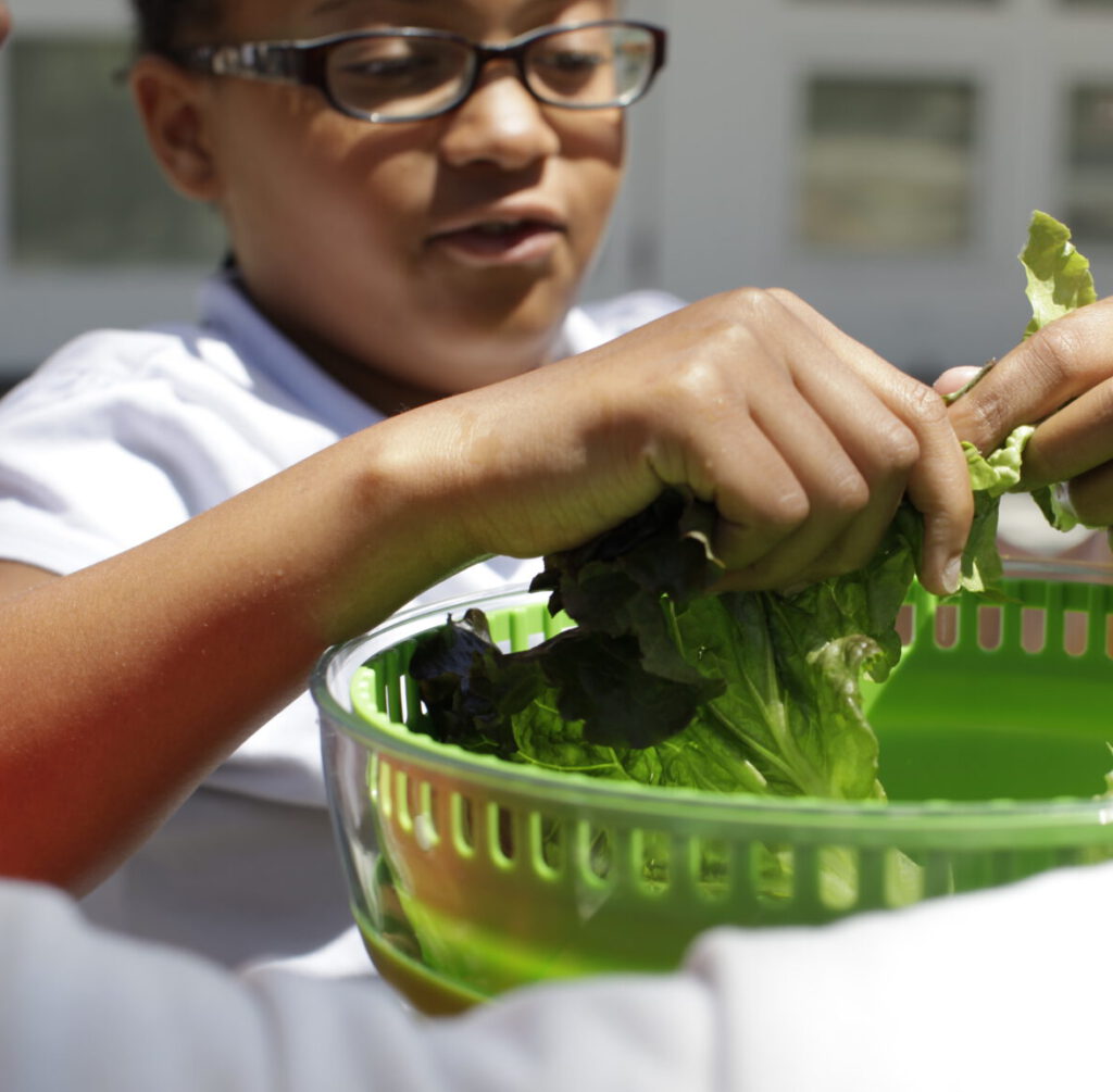 The Charlie Cart Project: Best National Food Education Program