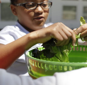Homepage - The Charlie Cart Project hands-on food education program